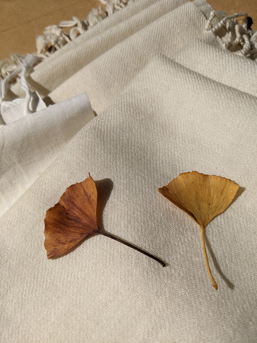 Dyer's Supplies – Empress Moth