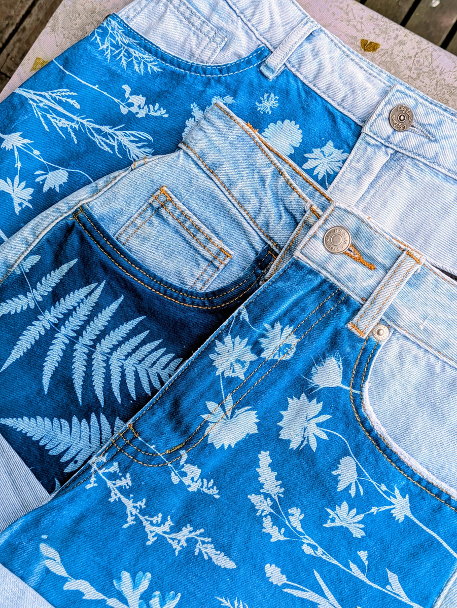 Cyanotype – Empress Moth